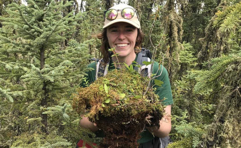 Junior Forest Rangers - alis